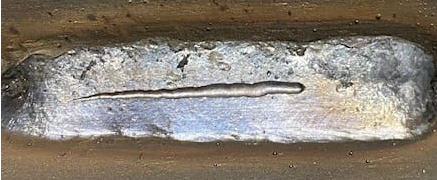 Worm Tracks – The Shed Journal