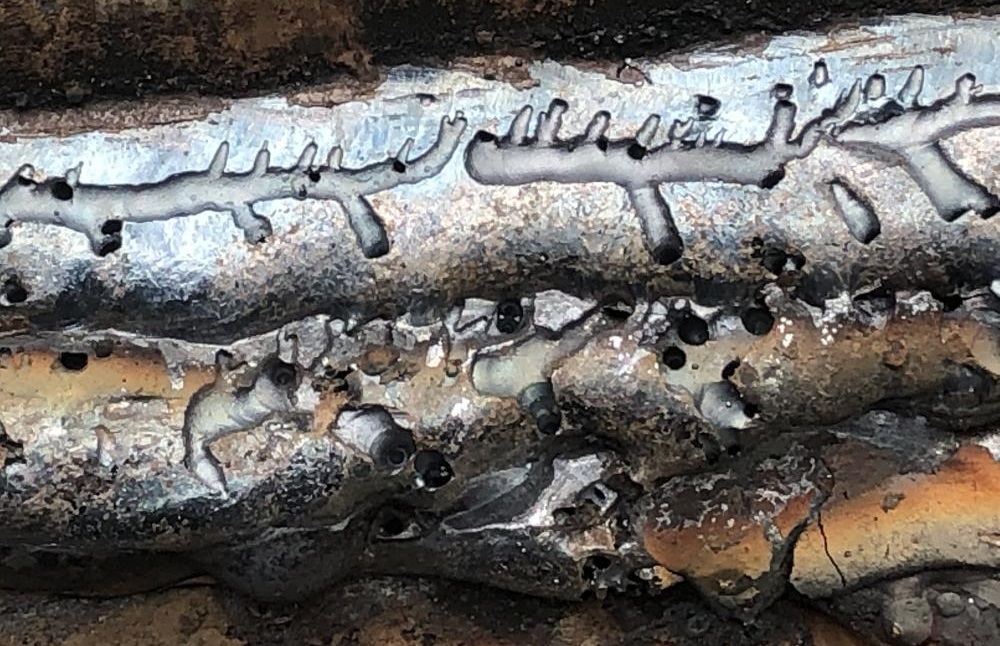 Worm Tracks – The Shed Journal